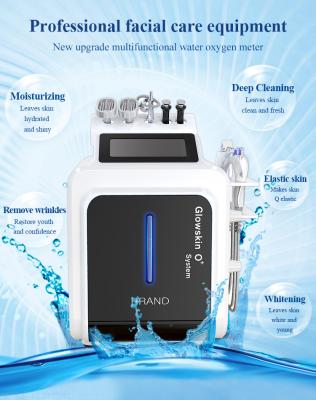 Cina Macchina facciale 10 di Dermabrasion della hydra multifunzionale portatile in 1 BIO- sollevamento di rf in vendita