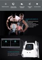 China Double Control Muscle Stimulator Machine Portable Electromagnetic Therapy Machine for sale