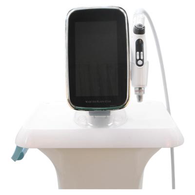 Cina La macchina non dilagante Needleless di elettroporazione rf affronta la pelle lo SME Mesotherapy in vendita