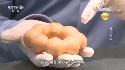 China CCTV Fully automatic mini donut maker for sale