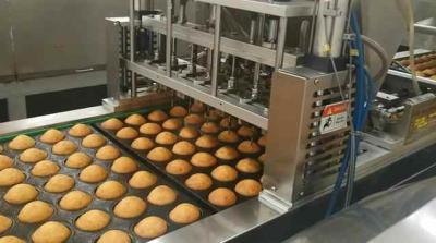China Ta Series Industrial Cake Production Line-Yufeng for sale
