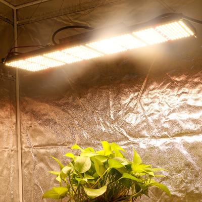 Quality 2024 hot sale 240W full spectrum LED Grow Light, LM301B lm301h Boards for Indoor for sale
