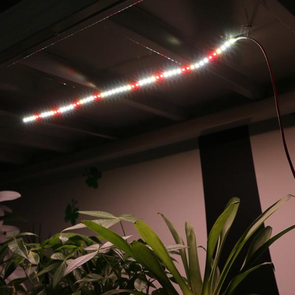 Quality Factory Hot Selling Optional Waterproof Full Spectrum LED Strip Grow Lights for sale