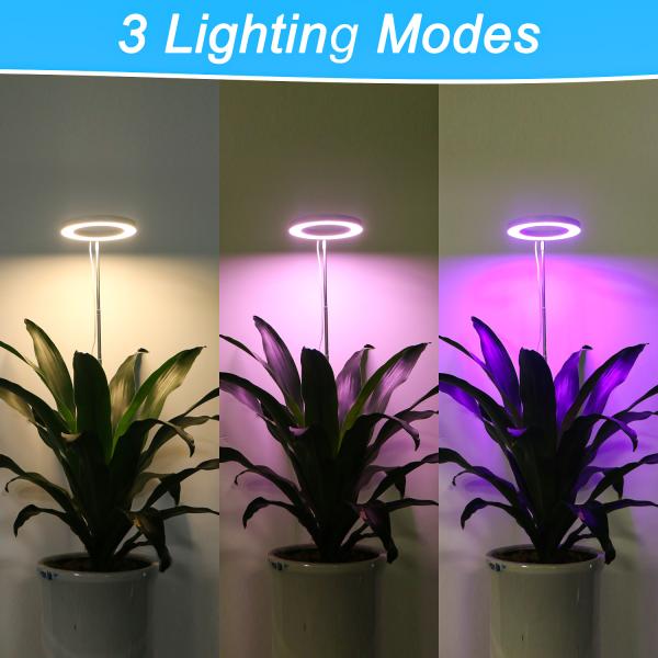 Quality USB color full spectrum LED circle Grow Light Height Adjustable Growing Lamp for sale
