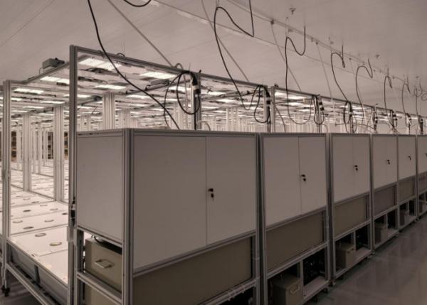 Planting 3 Meter Hydroponic Grow Systems Custom