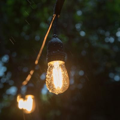 Cina Lampade a LED Edison S14 di vecchia generazione in vendita