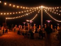 China Outdoor String Light Tree Lamp E26 Led Twinkle Light Home Decor With Customized for sale