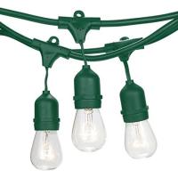 China Customized Length PVC Led Christmas Light String For Unique Outdoor Lighting for sale