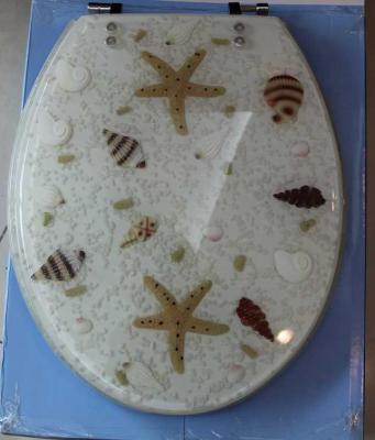 China sea shellpolyresin toilet seat,18'european size,17