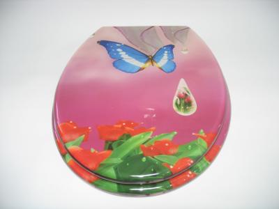 China poly toilet seat,17'18'19',zinc alloy hinge,S/S hinge,soft close hinge for sale