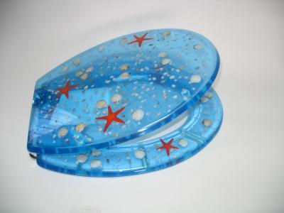 China sea star shell toilet seat for sale