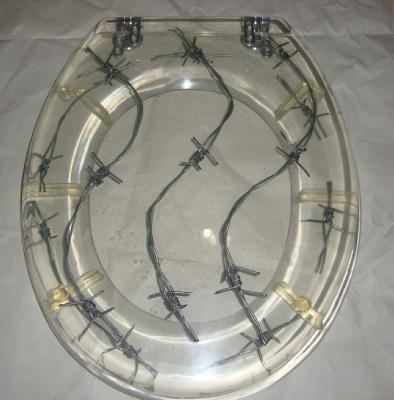 China poly-resin toilet seat cover,decor toilet seat,tranparent toilet seat for sale