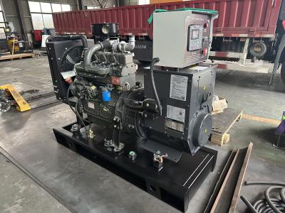 Cina Gruppo elettrogeno diesel aperto Likaduo 50KVA con buona qualità e frequenza 50Hz/60Hz in vendita