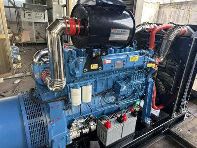 China 200KW / 250KVA Open /closed/soundproof Diesel Generator – Cost-Effective Power Solution for Your Customers for sale