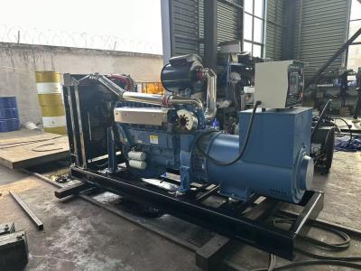 China Factory Direct Open type 200KW / 250KVA Diesel Generator – Designed for Dealer Profitability & Reliability for sale