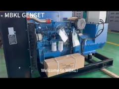Yuchai Open type Diesel Generator set