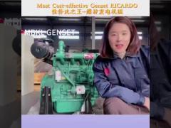 Reliable & space-saving power Diesel Generator 20KW 25KVA With Soundproof Case