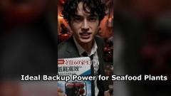 How Reliable Generators Save Cold Storage Businesses From Blackout Losses