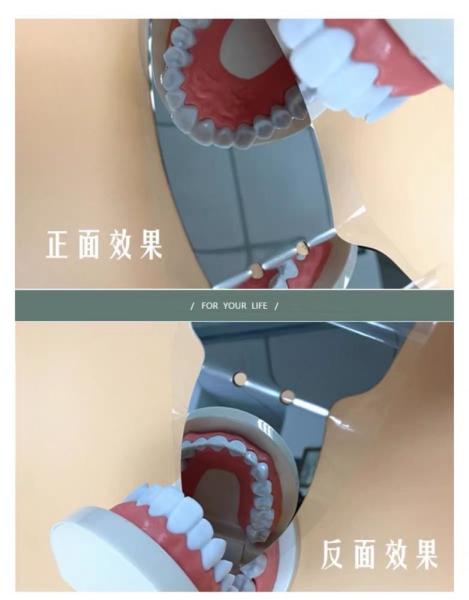Quality Dental Double Side Orthodontic Instrument SS Photograph Mirror for sale