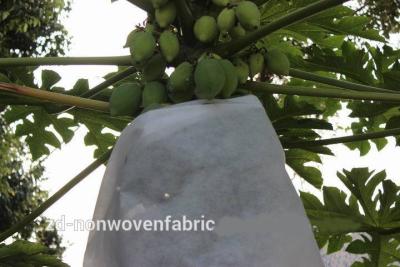 Cina Tessuto non tessuto di agricoltura antinvecchiamento del polipropilene per le coperture agricole 1.6M 2.4M 3.2M in vendita