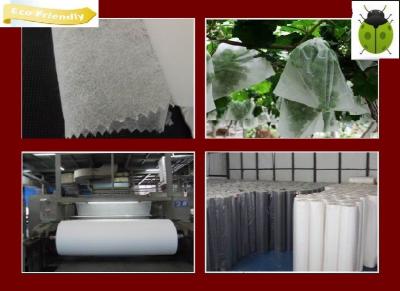 Cina Anti rotolo non tessuto agricolo UV ecologico del tessuto, dei pp linea di produzione del tessuto non in vendita
