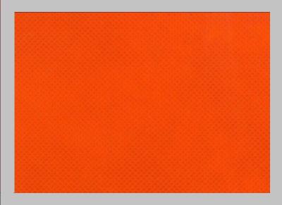 Cina Tessuto non tessuto di prima scelta di 100% pp Spunbond per la copertura del vestito, blu o su misura in vendita