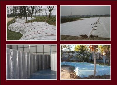 Cina Rotolo non tessuto del tessuto di agricoltura sottoposta agli UV del diserbo di 4% Strappo-Resistente ed impermeabile in vendita