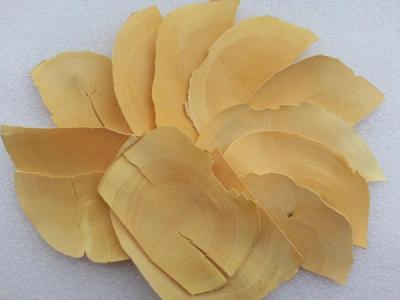 China tongkat ali eurycoma longifolia extract Ali's Umbrella, Tongkat Ali, Payung Ali, Tongkak Ali Lelaki, for sale