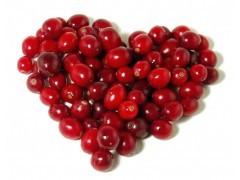 China fruit powder cranberry juice powder factory priceCranberry extract Cranberry fruit extract for sale