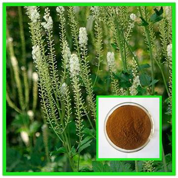 China 100% natural black cohosh powder black cohosh extract--Cimcifuga racemosa for sale