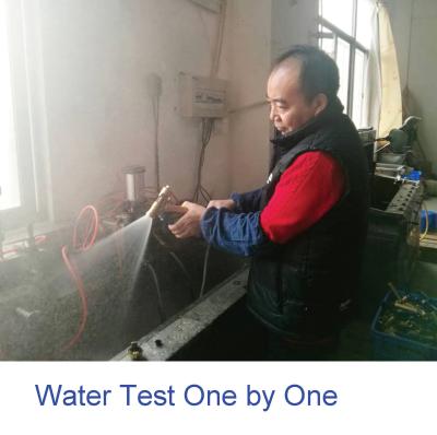 Cina Pistola lavastoviglie industriali in ottone blu Casa in polimero Acqua calda lavaggio in vendita