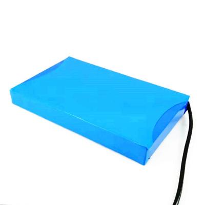 China Ultra-Thin Flat Lithium-ion 18650 Battery Pack | Deep Cycle 256Wh 12.8V 20Ah LiFePO4 Battery Pack for Handheld Devices | ROHS Compliant Made in China for sale