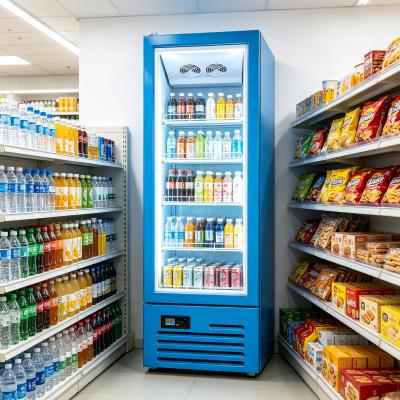 China Versatile Commercial Glass Door Freezer Ideal for Beverage Stores Ice Cream Shops and Supermarkets Requiring Cooling Solutions for sale