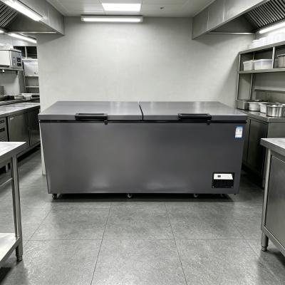 China Large Capacity Double Door Chest Freezer Energy Efficient Commercial Horizontal Freezer for sale