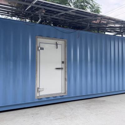 China Cold Room Storage for 20FT and 40FT Containers with Precise Temperature Control and Controlled Atmosphere for sale