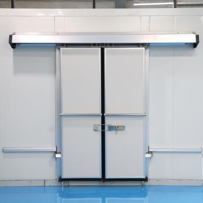 China Manual Sliding Cold Room Door with PU Insulation and Magnetic Gasket Sealing for Energy Efficiency for sale