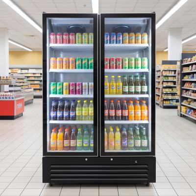 China Commercial Beverage Cooler with 420L Large Capacity Fog-Free Double Glass Door and Full Surround LED Lighting for sale