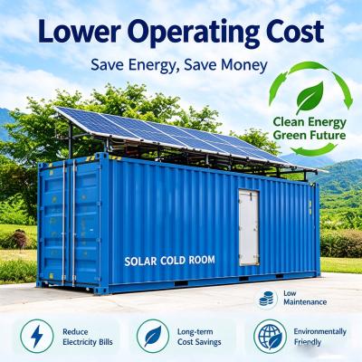 China Hot-fluorine Defrost Solar Energy Cold Chamber with 40FT Container Sizes for Sustainable Refrigeration for sale