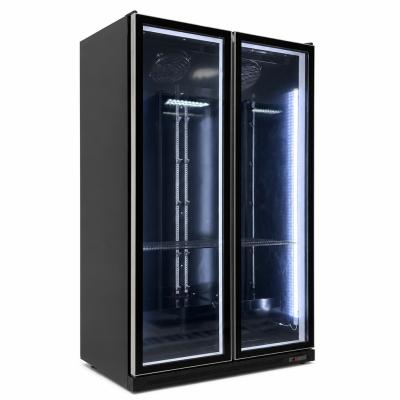 China Commercial Double Door Beverage Cooler with LED Interior Lighting and R290a Refrigerant Display Glass Door Freezer for sale