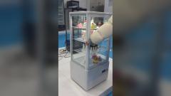 Professional Cake Showcase Display Case