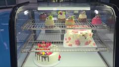 Commercial Glass Door Freezer 250L Efficient Cooling
