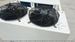 Cold Room Storage /Walk-in Freezer Refrigerator