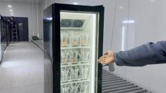 Commercial Upright Air Cooling Single Door Beverage Cooler Auto Defrost Digital Control Large Capaci
