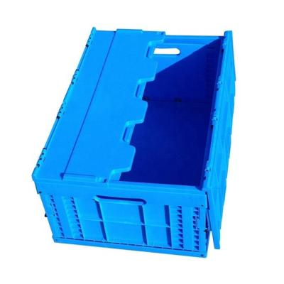 China Plastic Crates for Storing Vegetables Foldable Design 560*360*260 Internal Size for sale