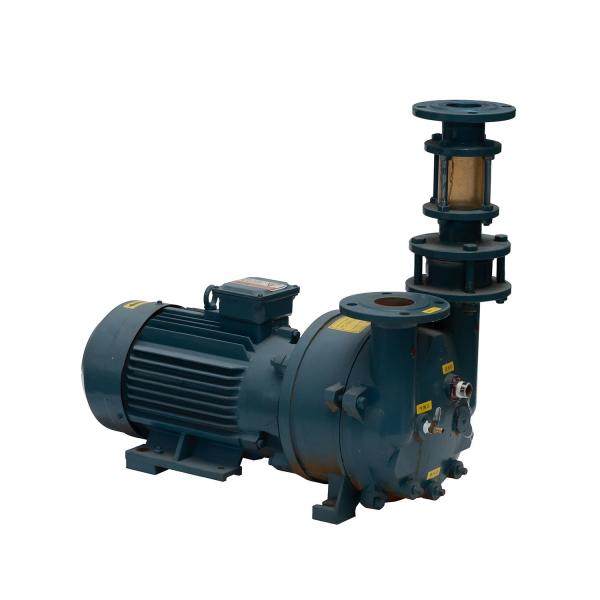 Quality ZJPRotz Vacuum Rotary Variable Volume Mechanical Booster Pump For Vacuum Systems for sale