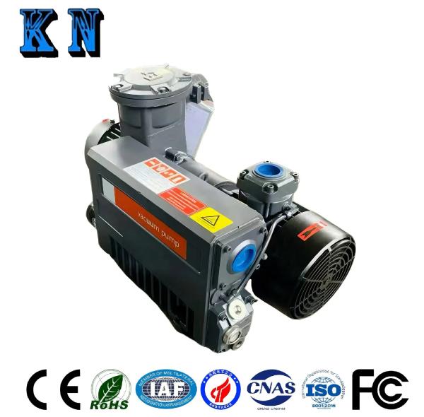 Quality 20-600m3/H Exhaust Rate 0.75-22kW Motor Power Pump Rotary Vane 0.1-0.5mPa Limiting Pressure for sale