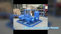 2BE1 Vacuum Pump High Efficiency Oil Free Industrial