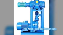 2BV Water Ring Vacuum Pump 97 Vacuum