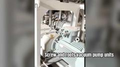Dry screw vacuum pump and Roots vacuum pump Unit