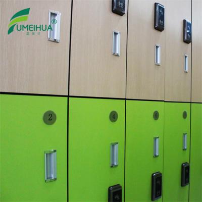 China Fumeihua wood color double door laminate cheap electronic gym lockers for sale